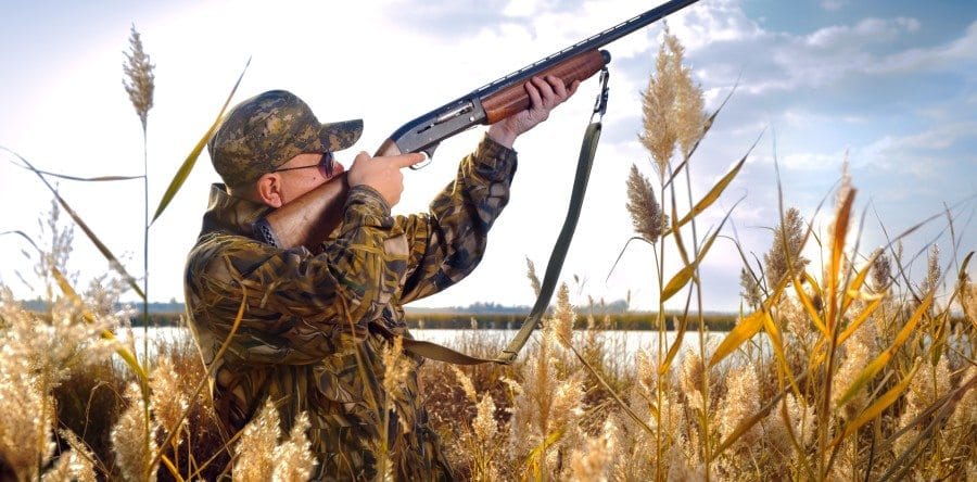 Best Shotguns for Upland Hunting